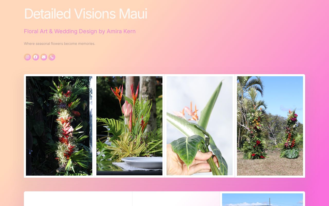 Detailed Visions Maui